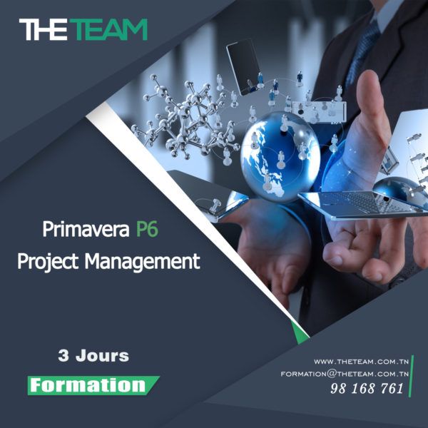 Primavera P6 Project Management - THE TEAM