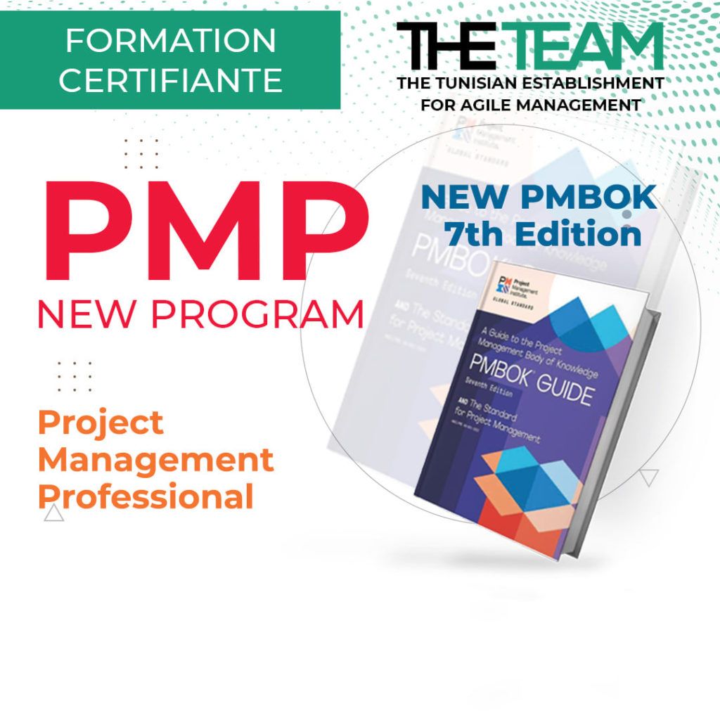Formation PMI-PMP® Project Management Professional - THE TEAM
