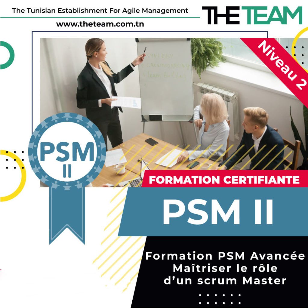 Formation PSM II - THE TEAM