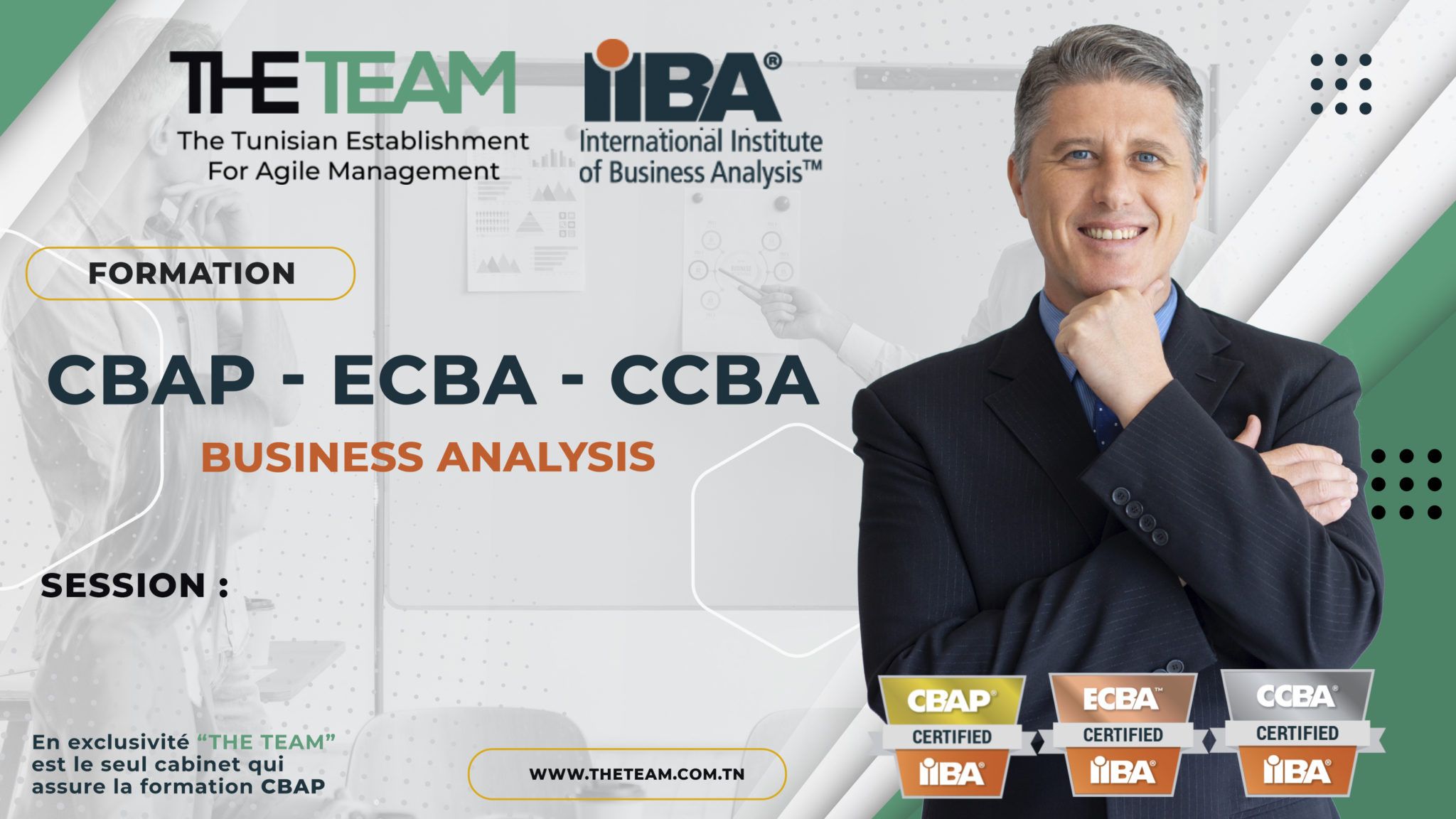 Formation Business Analysis IIBA - CBAP & ECBA & CCBA - THE TEAM